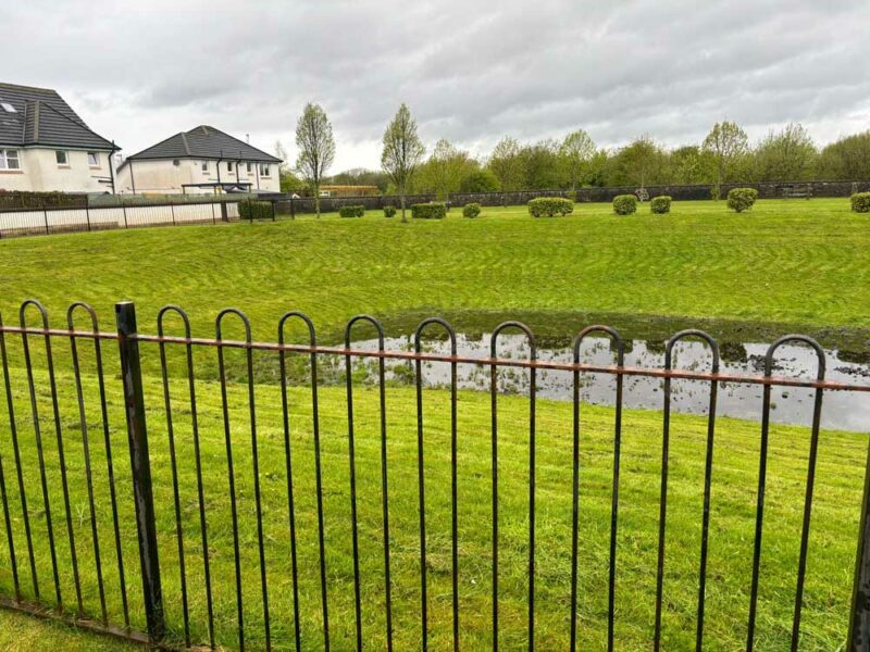 Home - Gordon Shanks