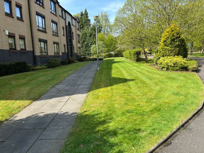 Home - Gordon Shanks