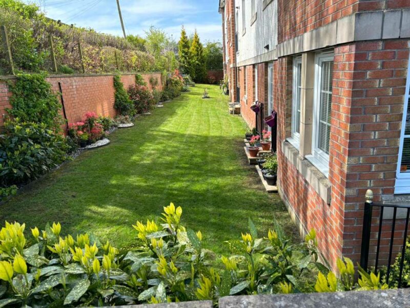 Home - Gordon Shanks